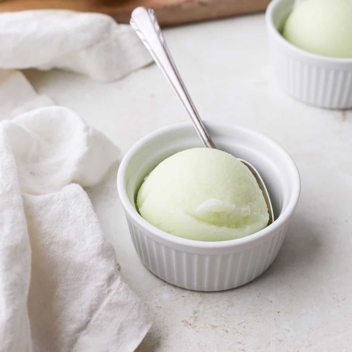 3 Ingredient Melon Sorbet - A Nourishing Plate